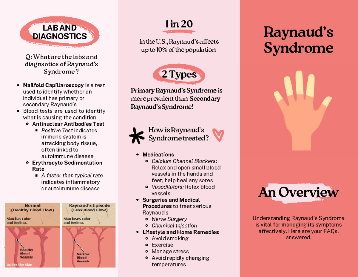 Raynaud's Syndrome: Overview, Diagnostics & Treatment Options - Studocu