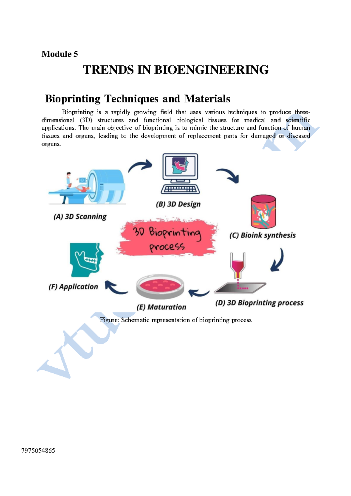 M-5 Bioprinting Techniques & Materials in Bioengineering - Studocu