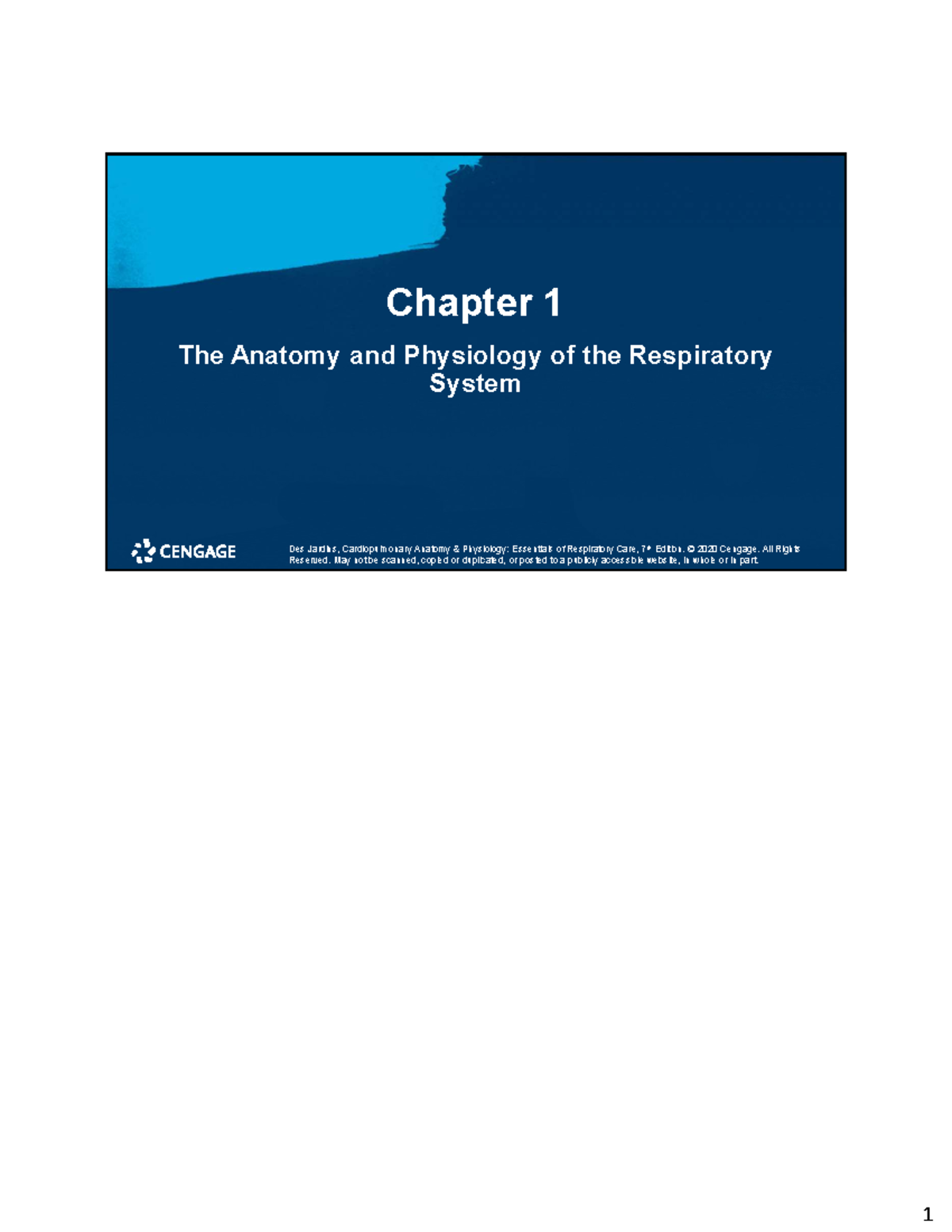 Chapter 1: Anatomy & Physiology of the Respiratory System (CPT 101 ...