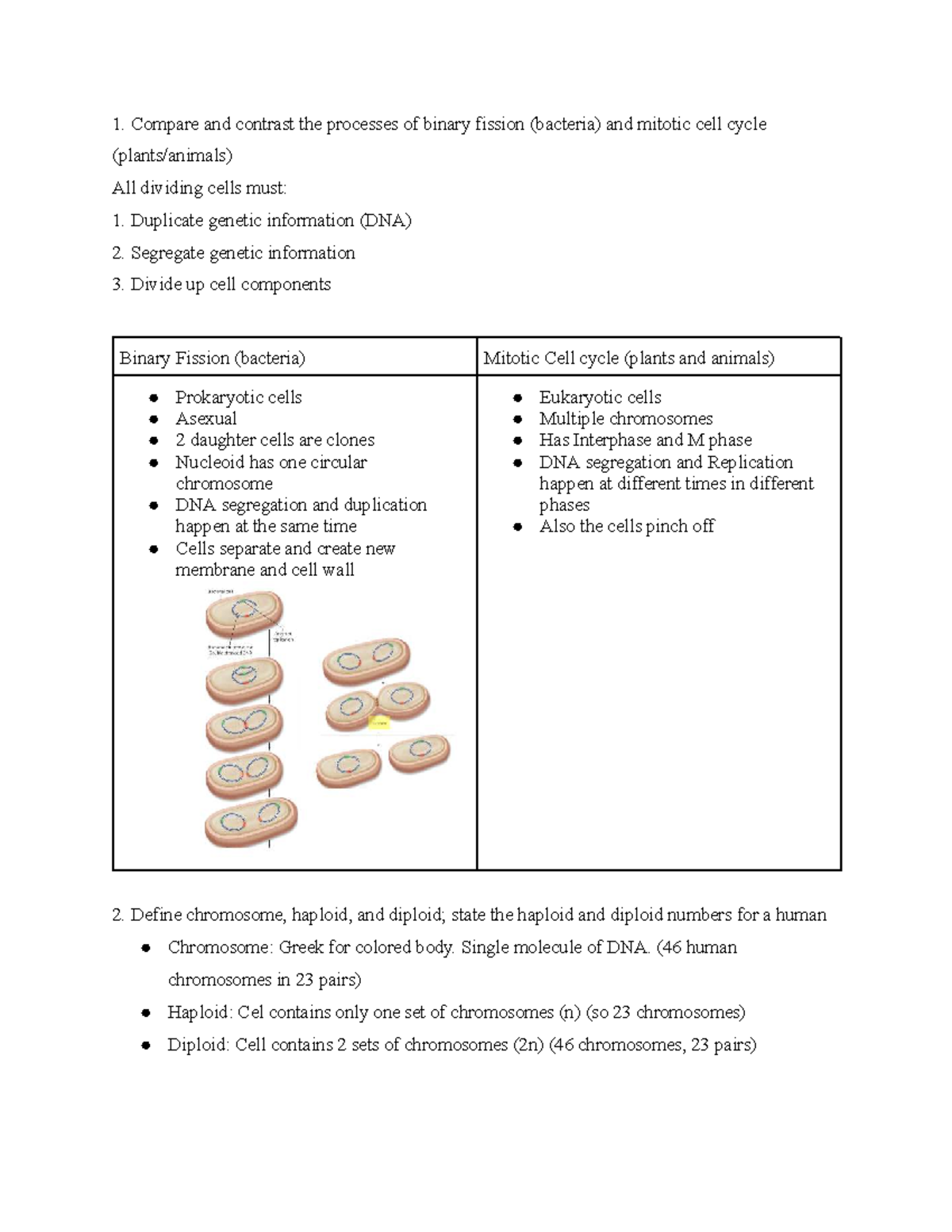 Biology Course Notes: Mitosis, Meiosis, Mendelian Genetics & Central ...