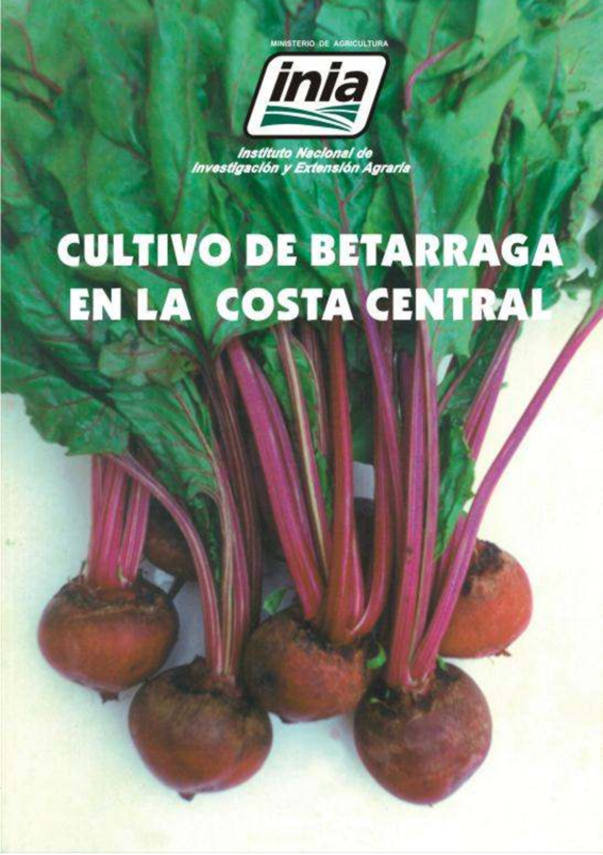 Cultivo de Betarraga en la Costa Central - Informe Técnico 1 - Studocu