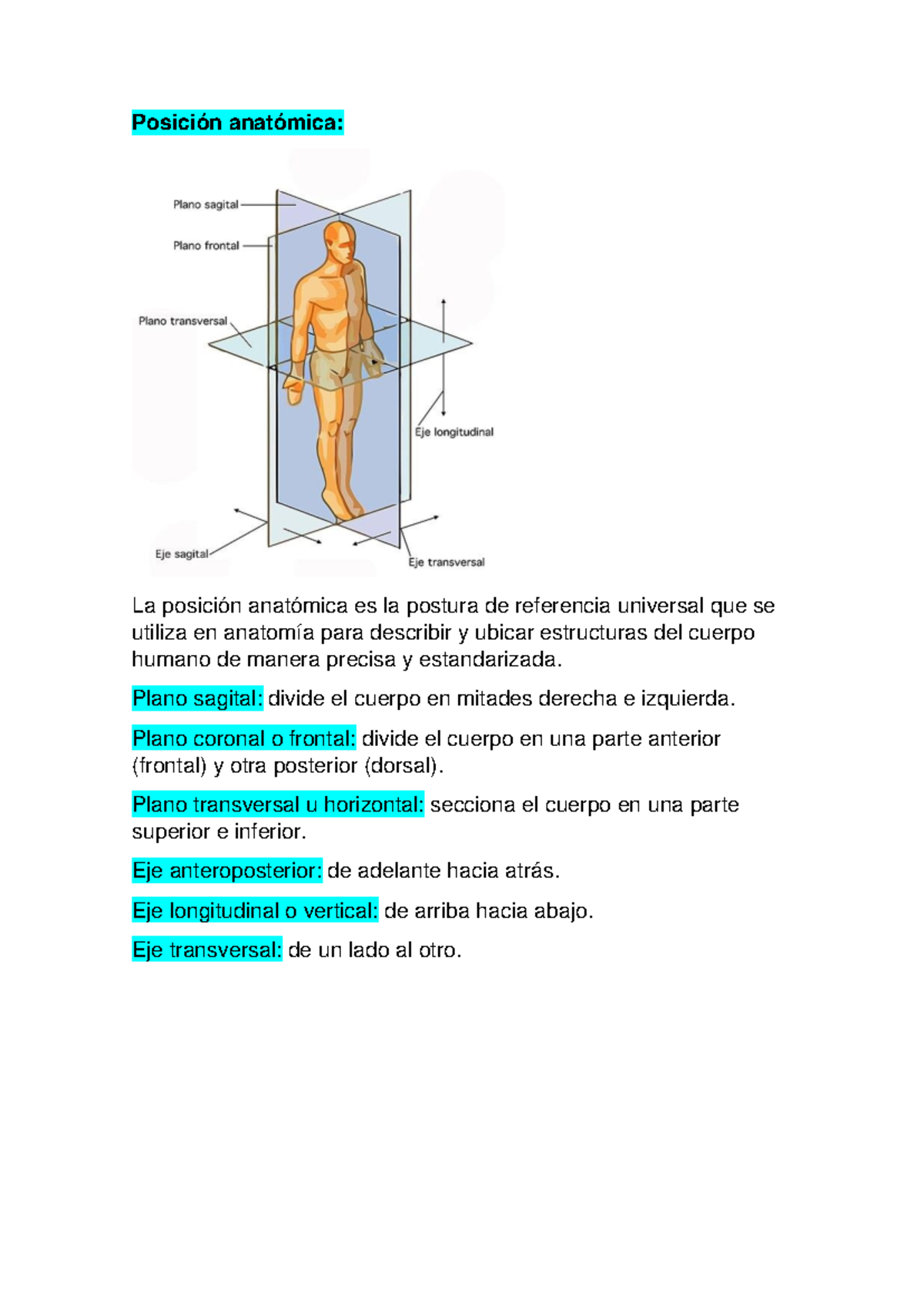 Repaso LAB Anatomía: Posición Anatómica y Sistema Locomotor - Studocu