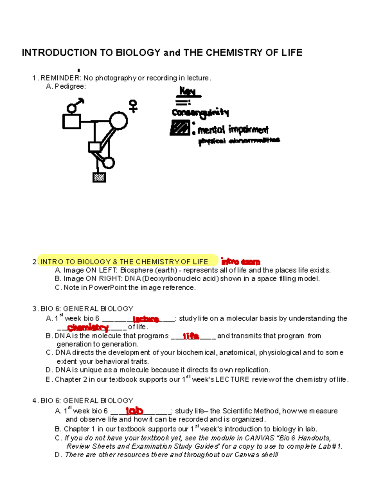 Chemical Bonding and Molecular Structure Notes for BIO 6 Students - Studocu