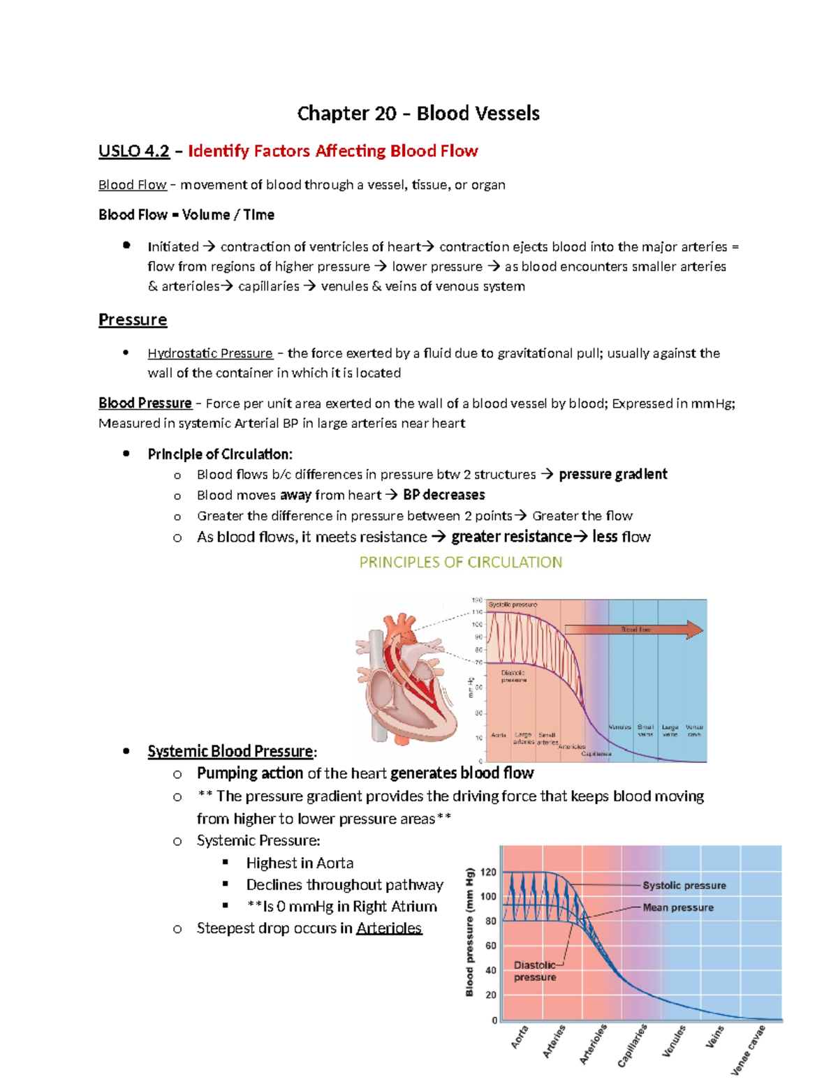 Unit 4.2 - Key Concepts Influencing Blood Flow Dynamics - Studocu
