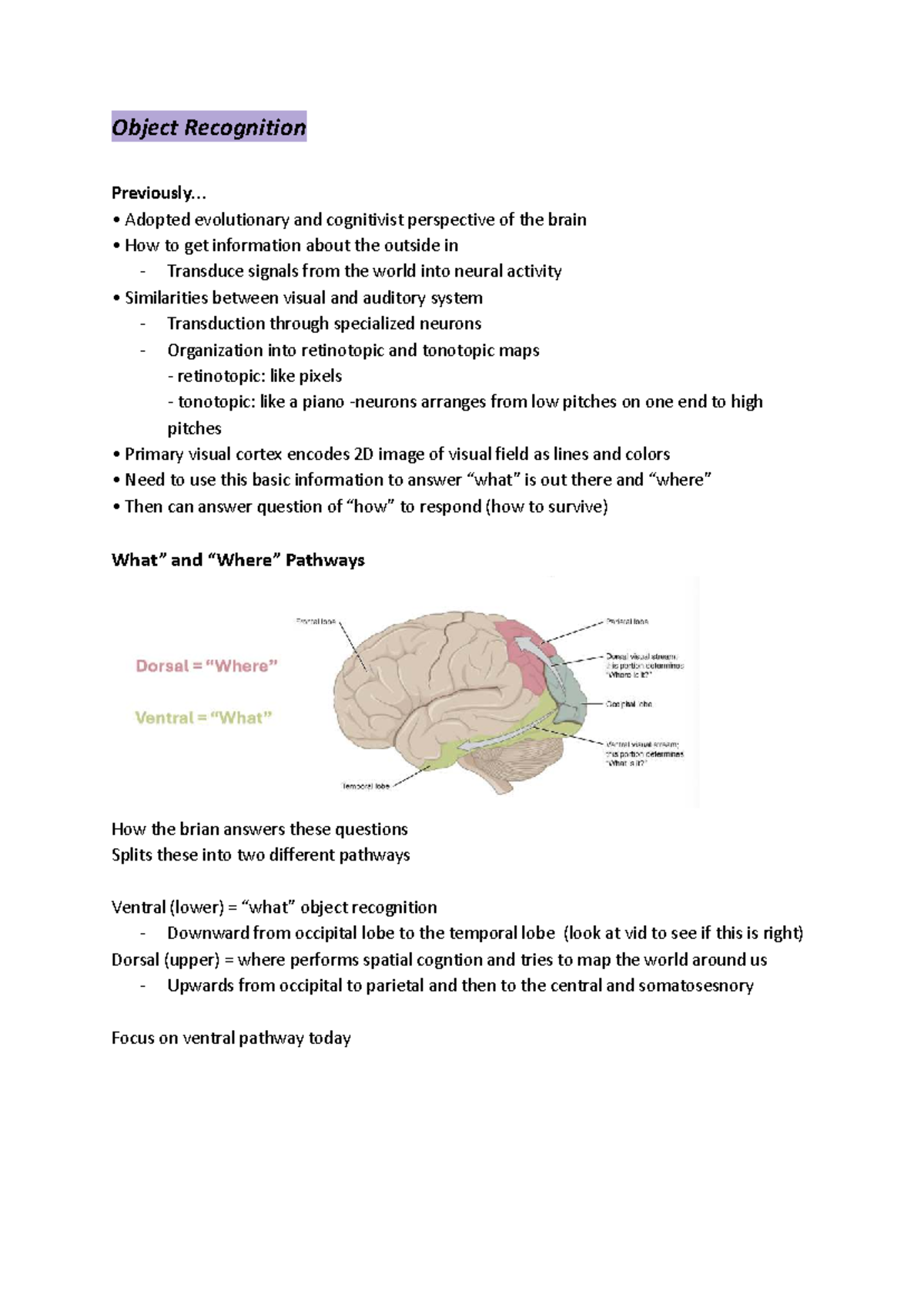 Object Recognition Psy 101 Lecture Notes On Brain Processing Studocu