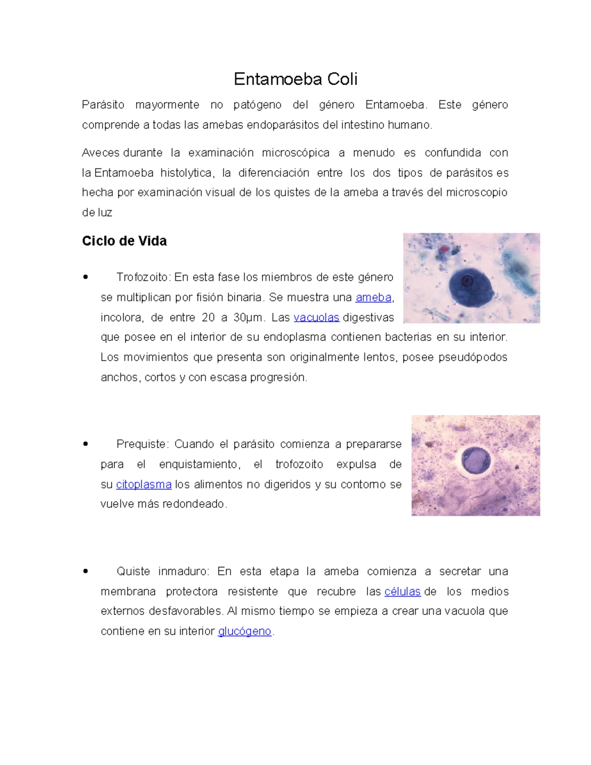 3-Estudio sobre Endolimax nana: Ciclo de Vida y Diagnóstico - Studocu