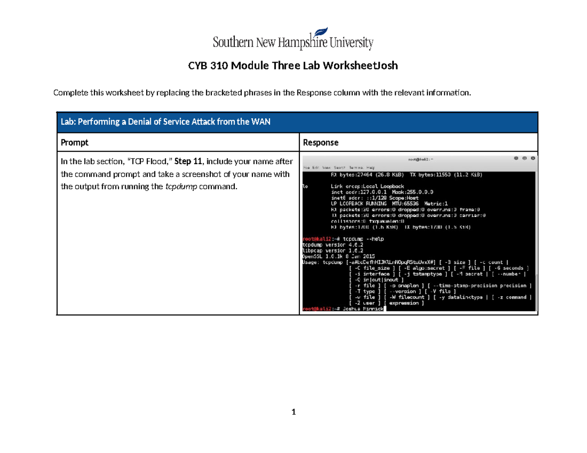 CYB 310 Module 3 Lab Worksheet on DoS & Network Mapping Techniques ...