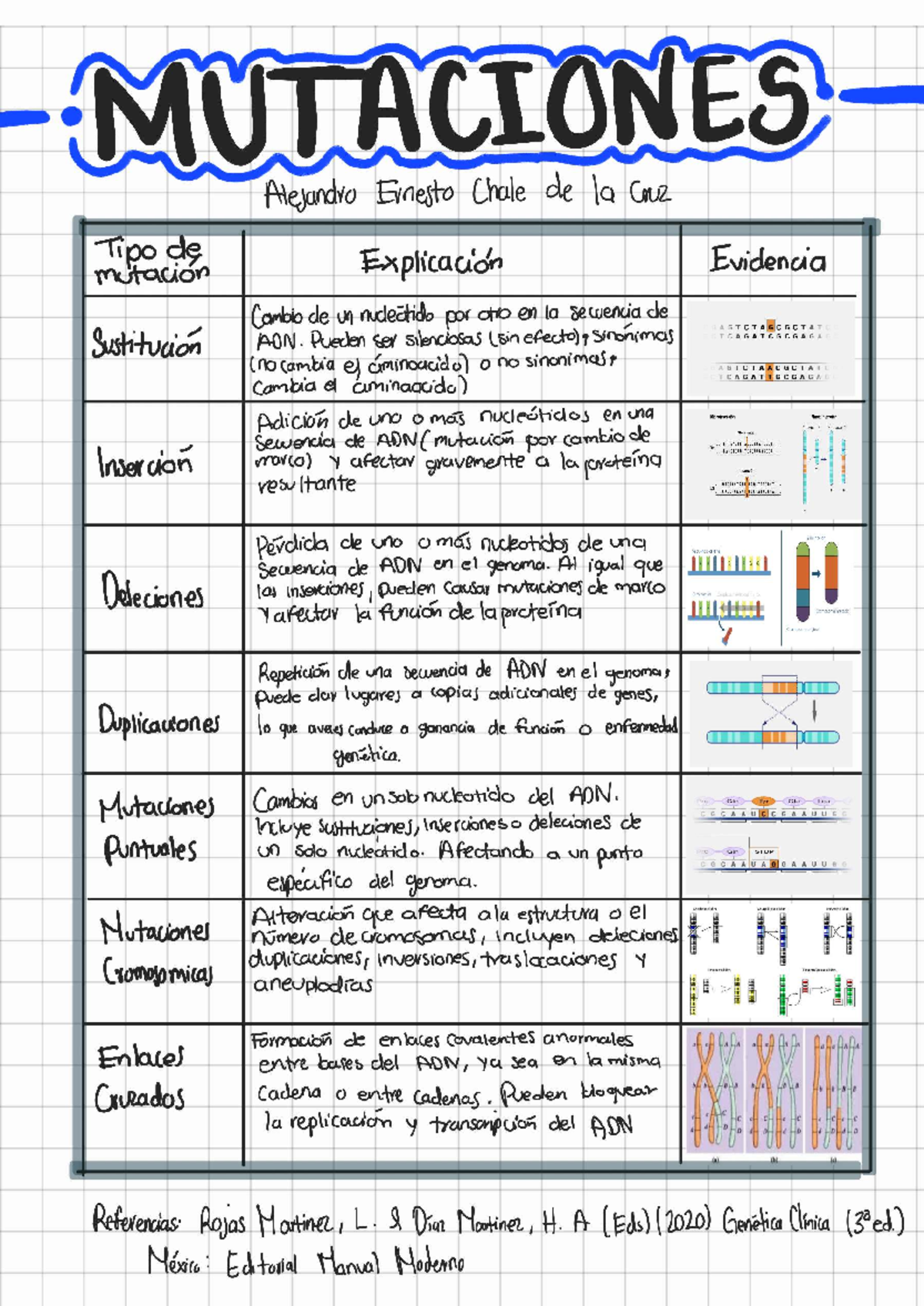 MUTACIONES Cromosómicas: Cambios en la Estructura y Función del ADN ...