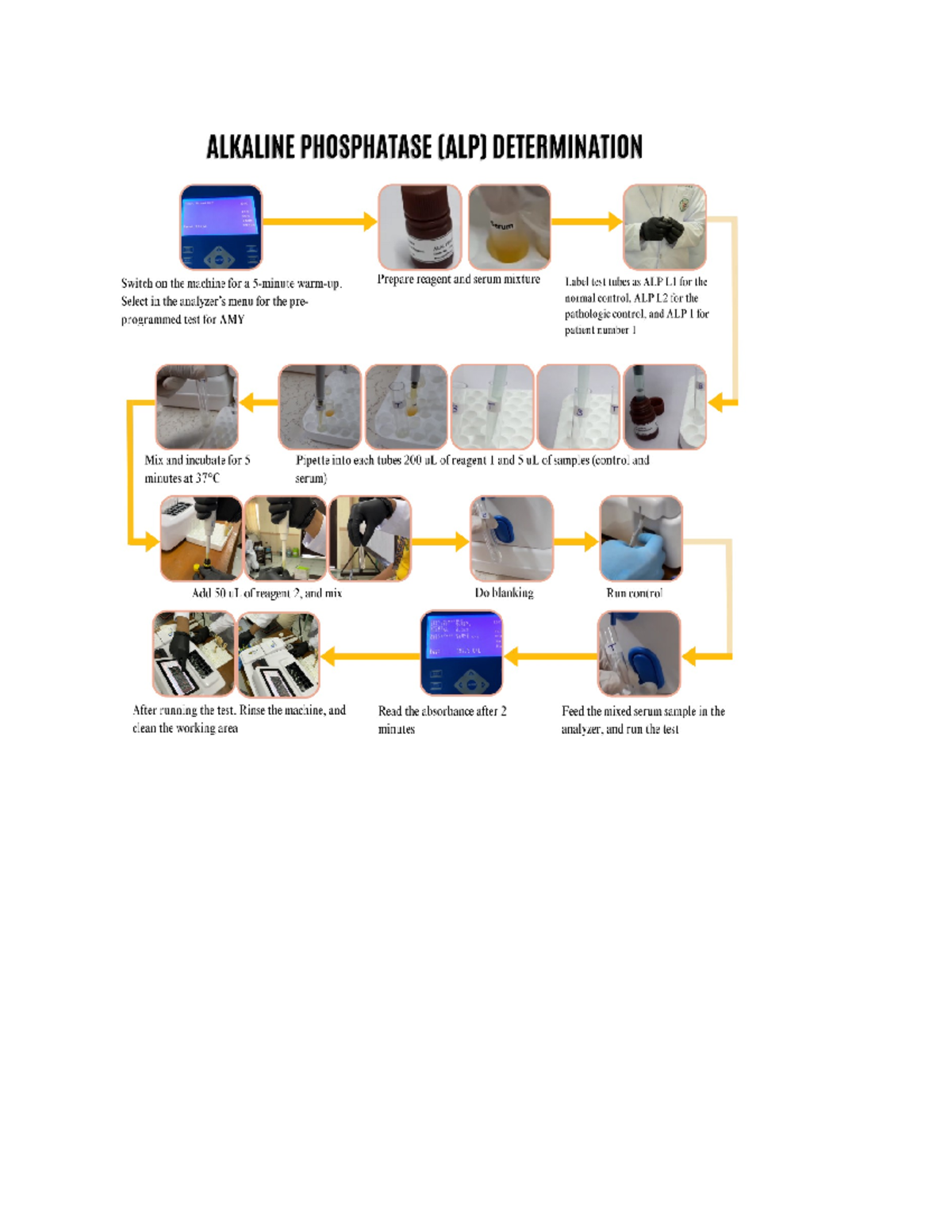 ALKALINE PHOSPHATASE (ALP) DETERMINATION LAB PROCEDURE - Studocu