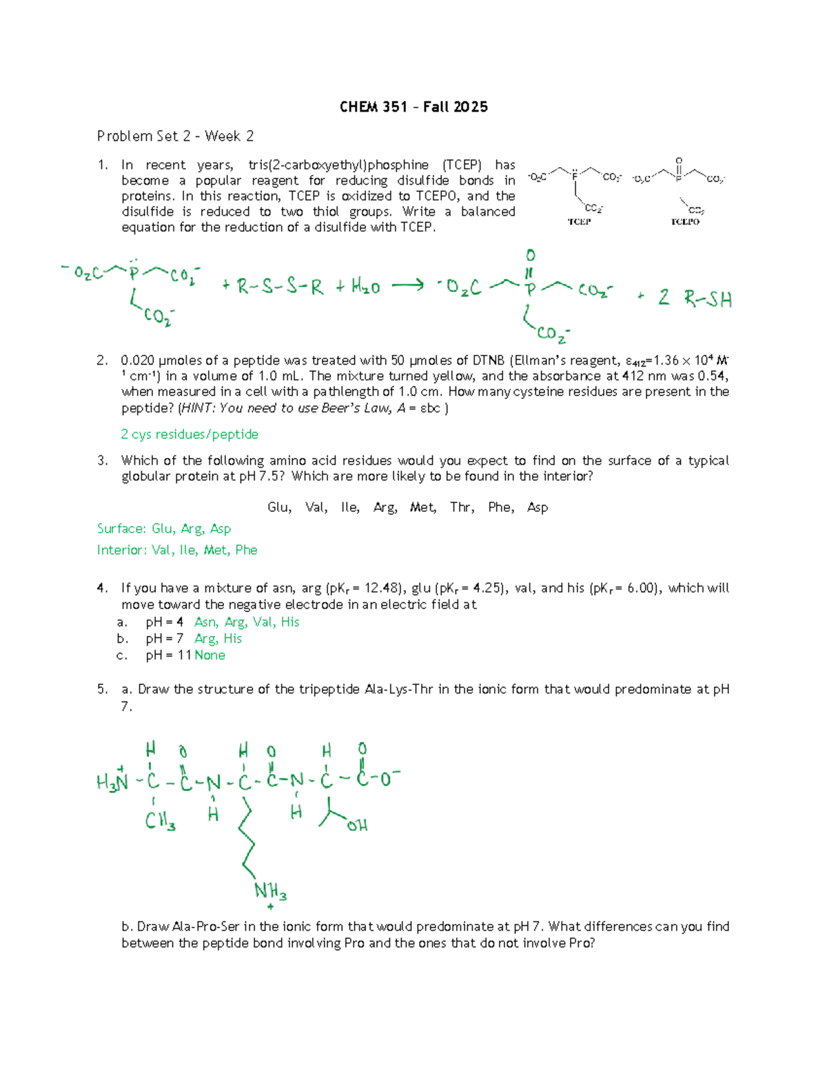 CHEM 351 - Fall 2025 Midterm Exam Review: Protein Analysis Insights - Studocu