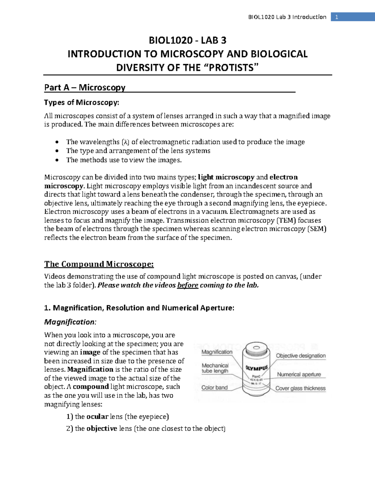 BIOL1020 Lab 3: Microscopy Techniques & Biological Diversity Overview ...