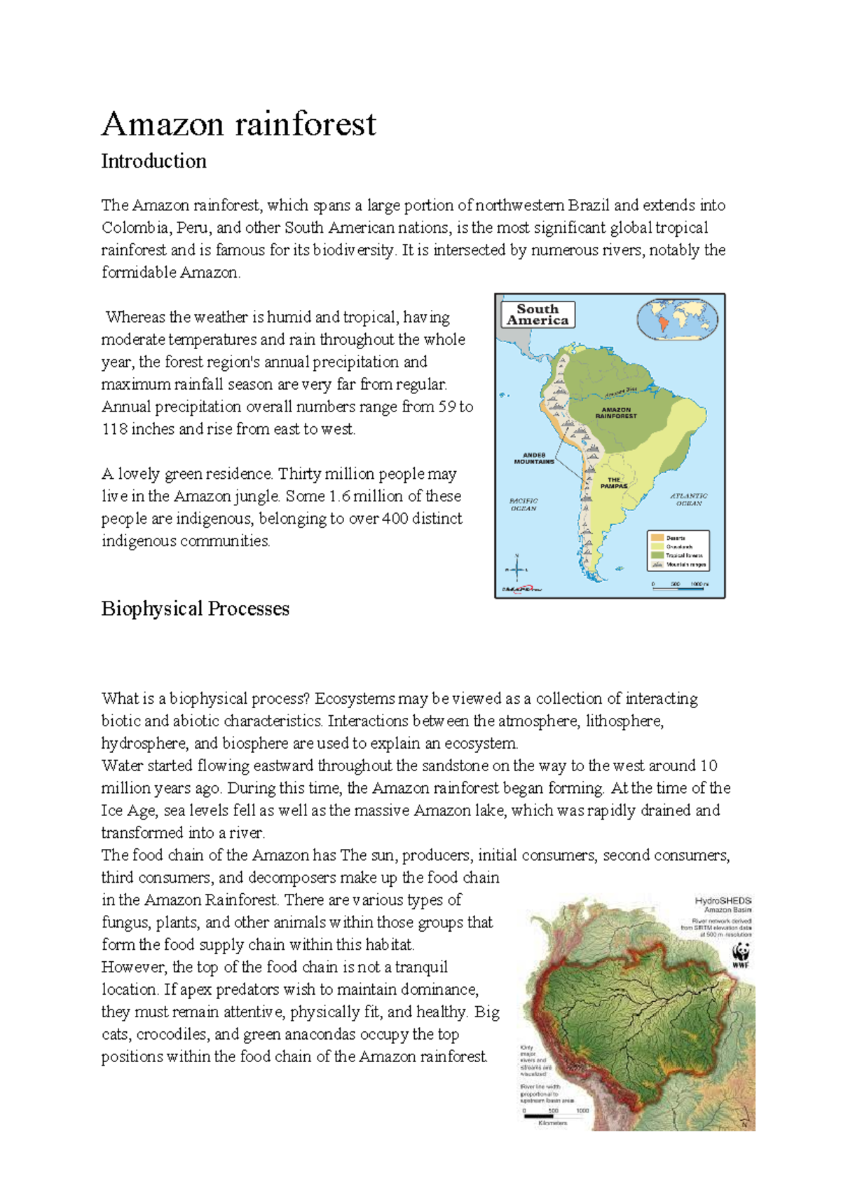 Amazon Rainforest: Ecosystems, Biophysical Processes, and Impact of ...