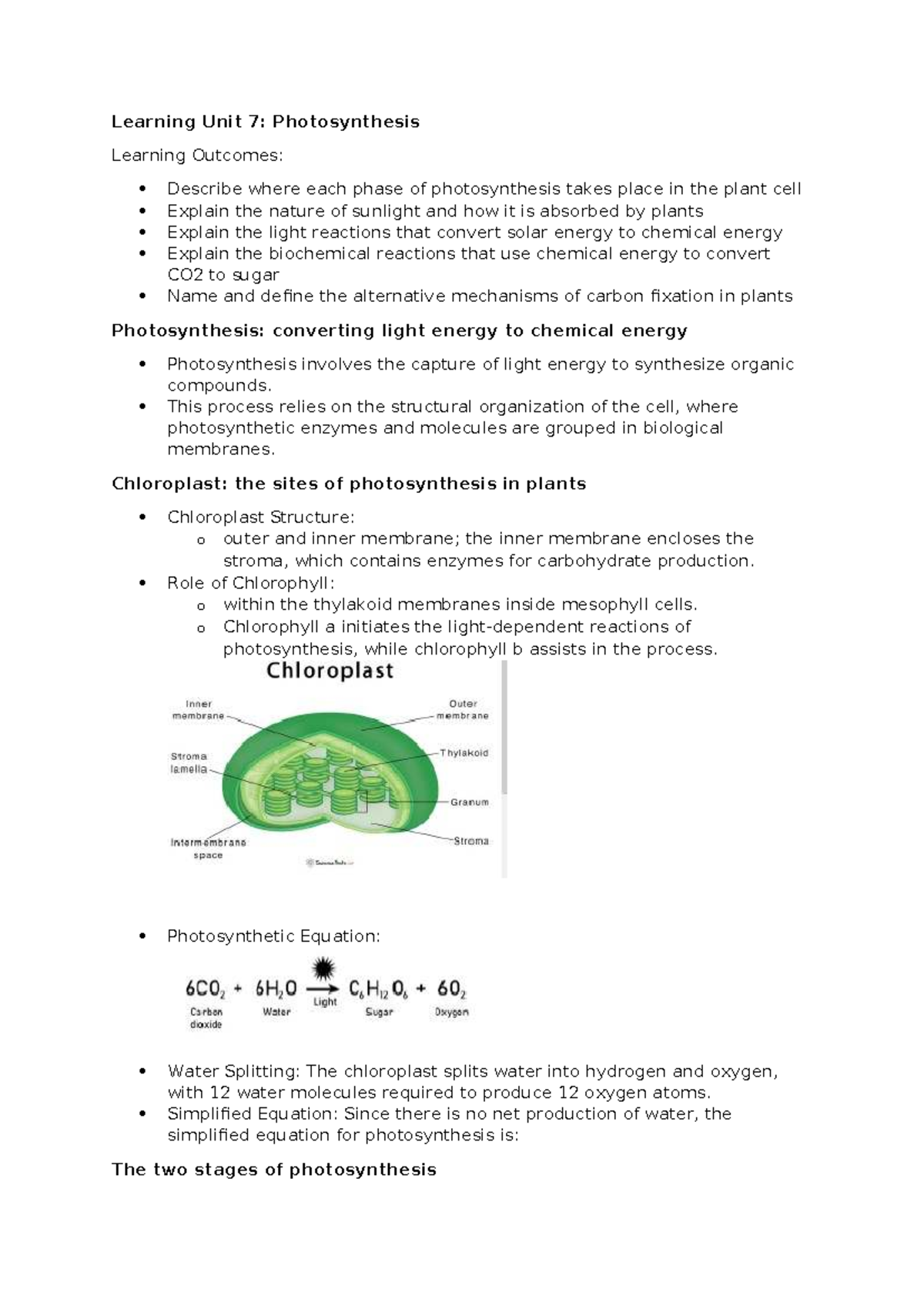 Learning Unit 7: Photosynthesis Overview and Key Concepts - Studocu