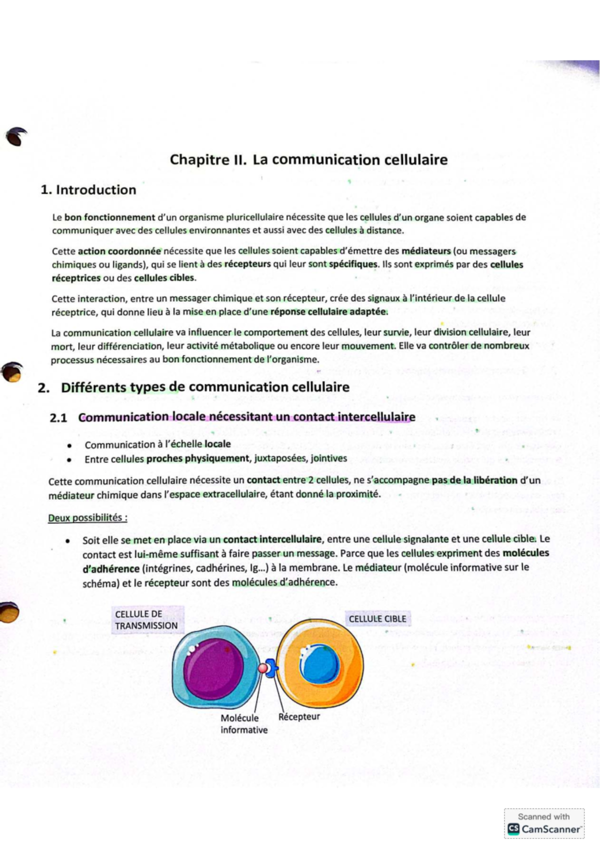 Chapitre II : Communication Cellulaire - Introduction et Types - Studocu