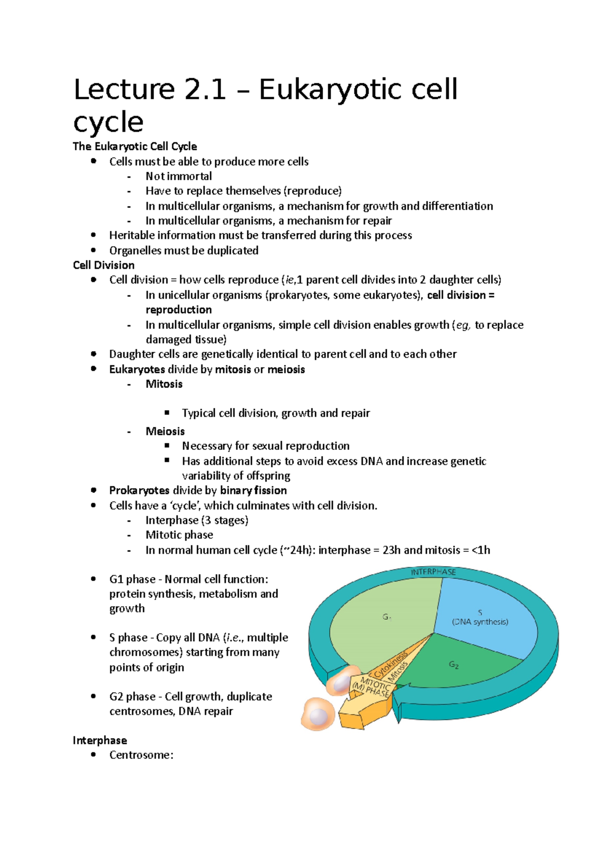 Eukaryotic Cell Cycle & Division: Insights from Lecture 2 - Studocu