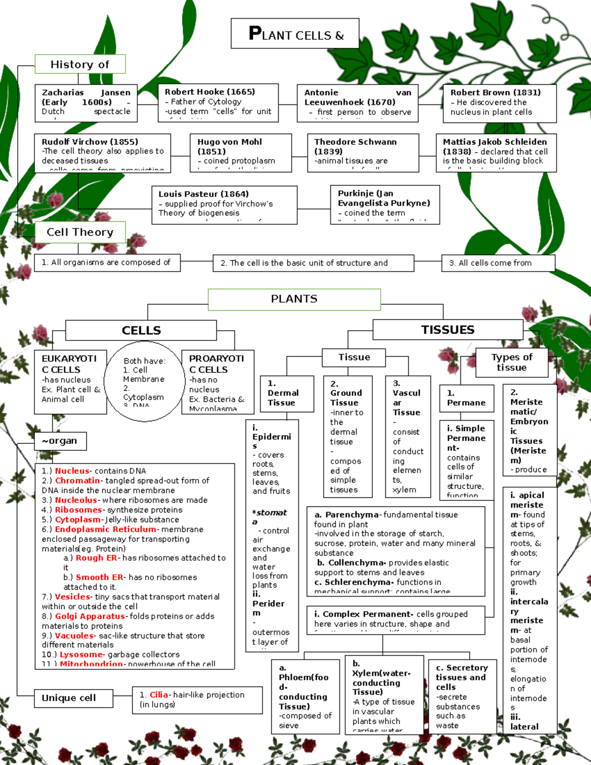 Concept Map for PLT 101: Plant Microbiology and Cell Structures - Studocu