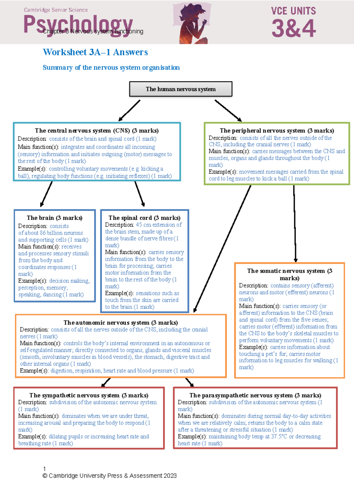 Chapter 3: Nervous System Functioning Worksheet Answers (WS-3A-1) - Studocu