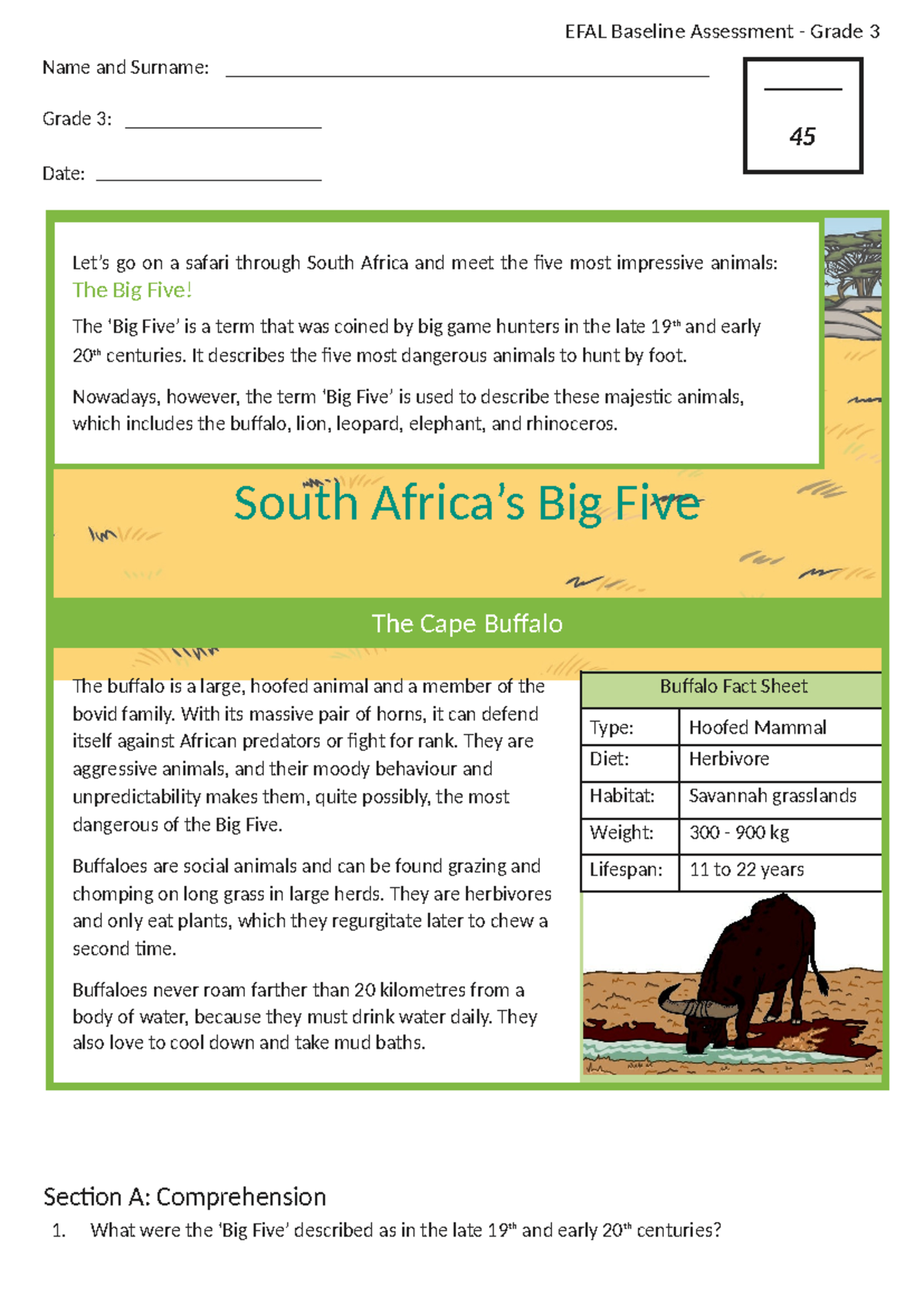 Grade 3 EFAL Baseline Assessment: Exploring the Big Five Animals - Studocu