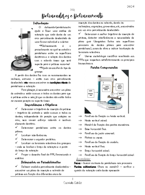 Elementos constituintes das PPRs - Elementos constituintes das PPRs PPR ...