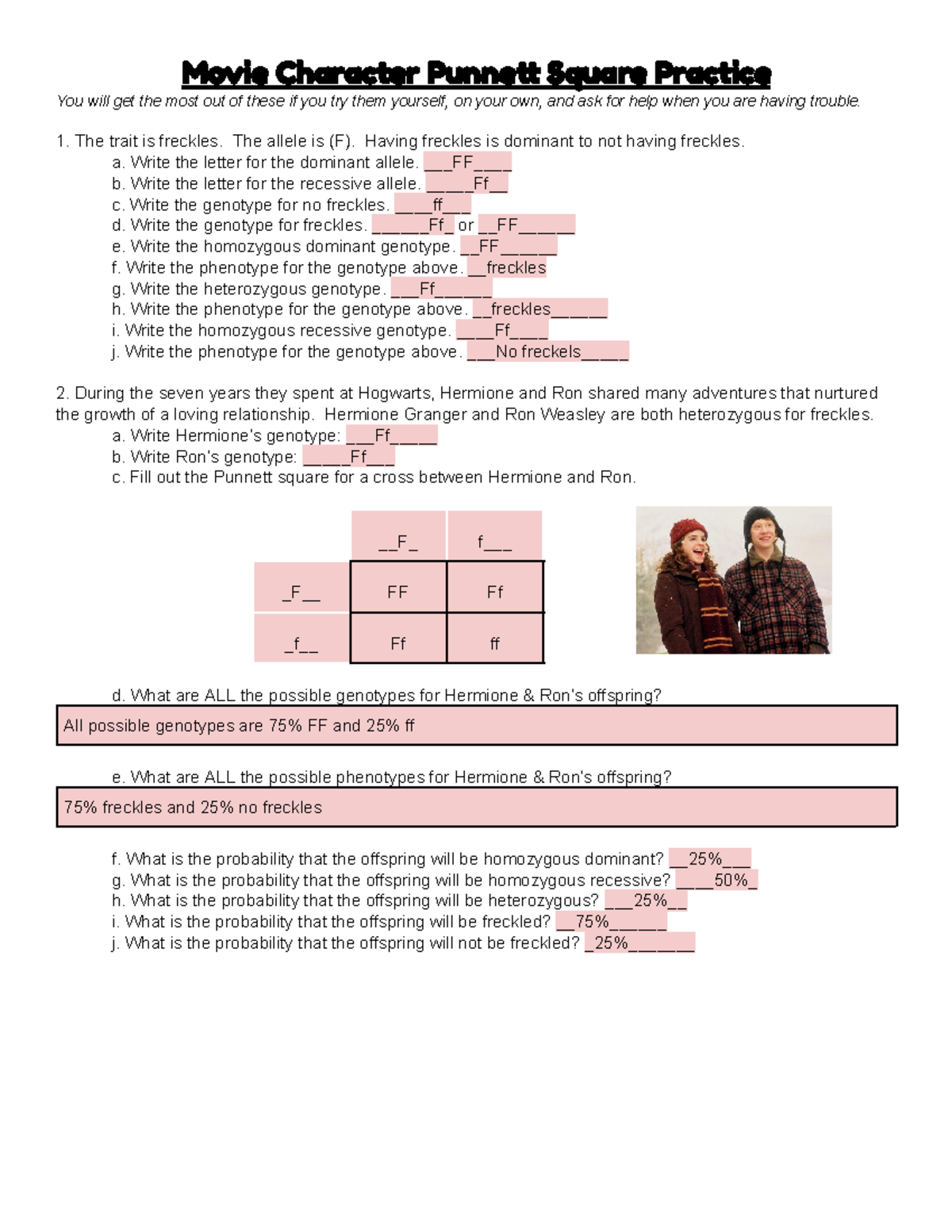 Copy of Movie Punnett Square Practice - Movie Character Punnett Square ...