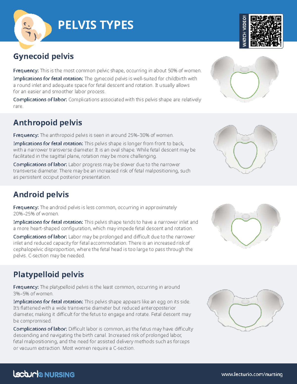 Nursing CS Pelvis Types: Implications & Complications for Labor - Studocu
