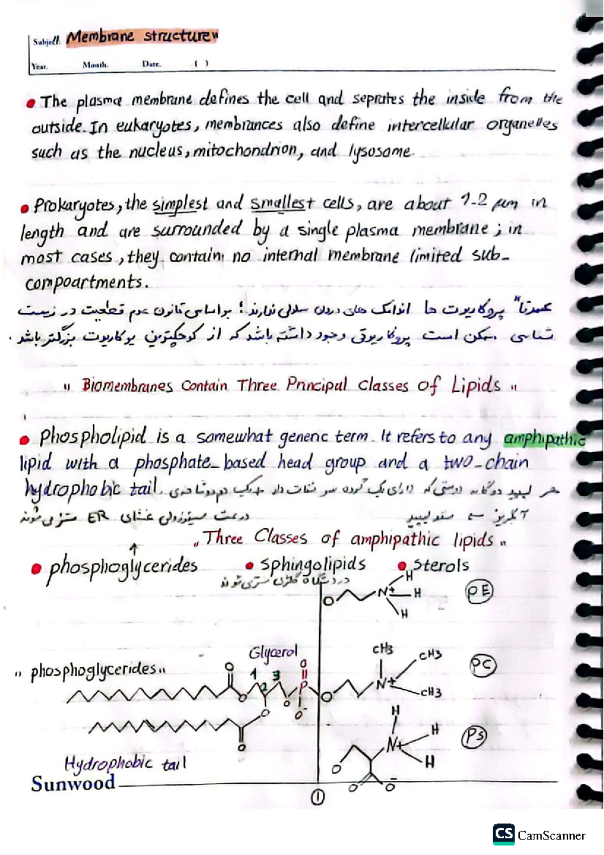 Membrane Structure Overview: Key Concepts and Lipid Classes - Studocu