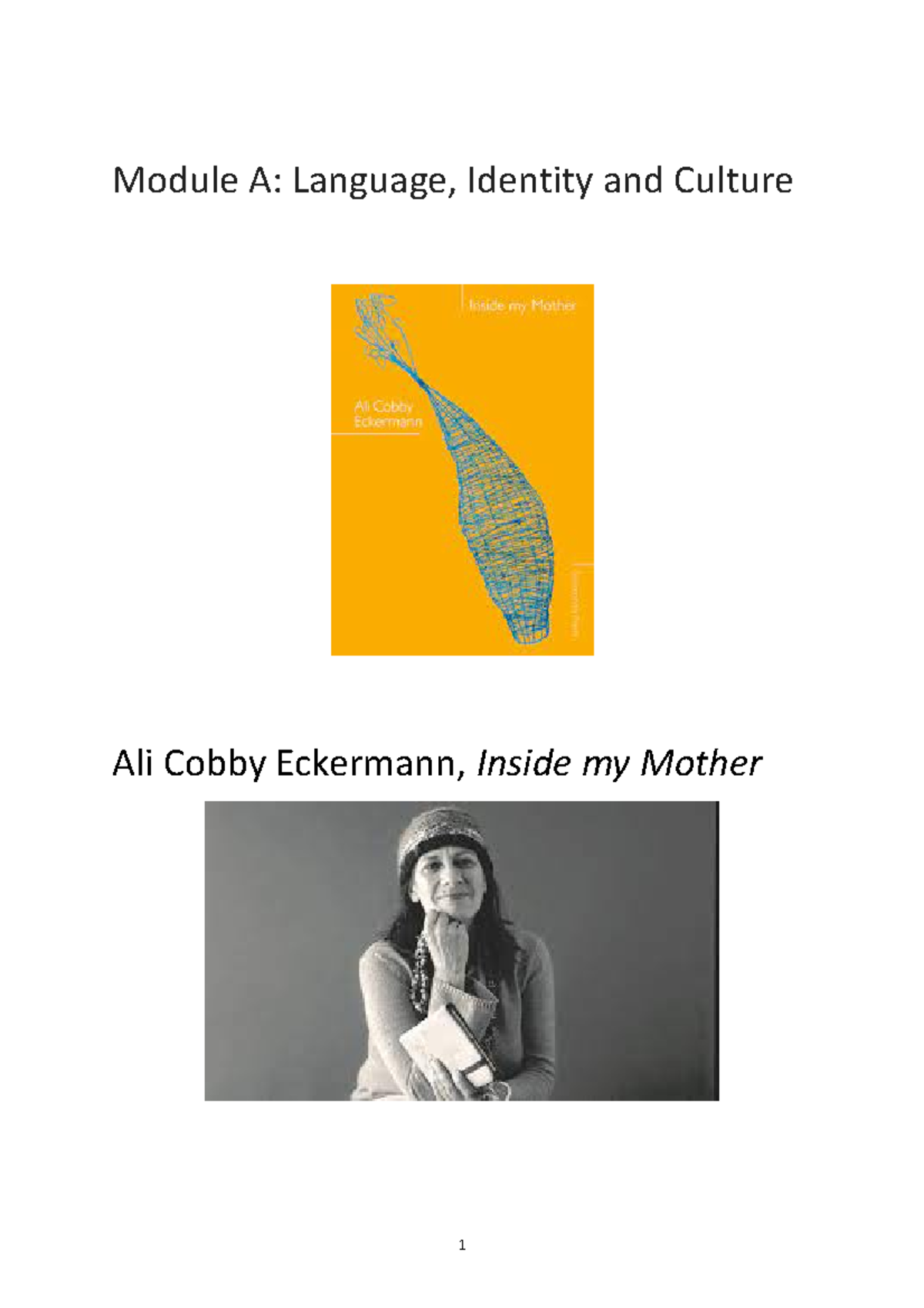 ACE NOTES YEAR 12 STANDARD ENGLISH - Module A: Language, Identity and ...