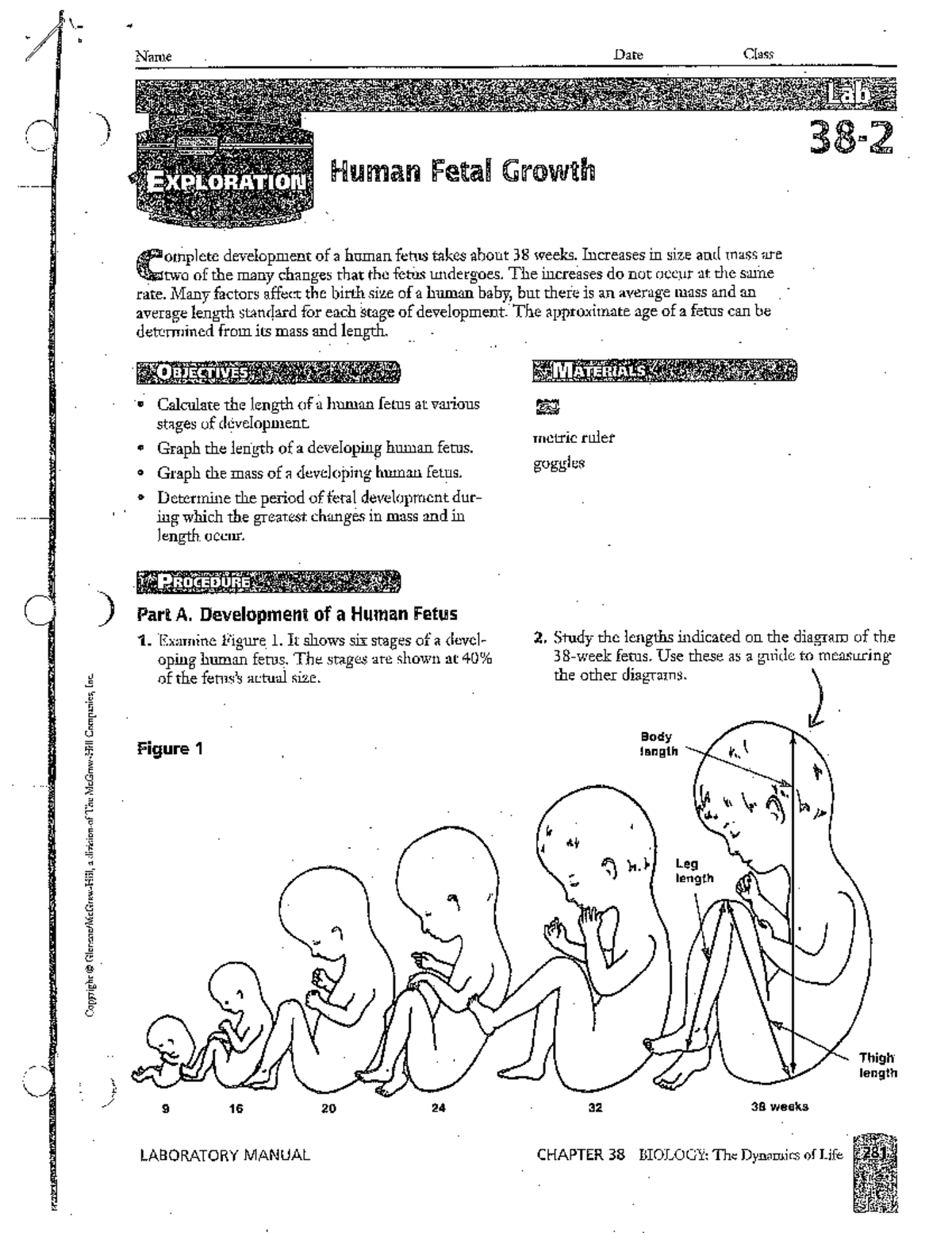 Lab Report: Human Fetal Growth Analysis (BIO 101) - Studocu