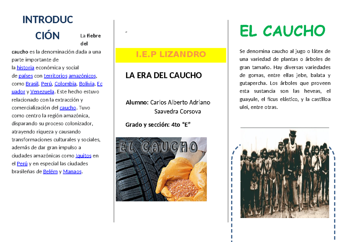 Triptico de la era del caucho - La fiebre del caucho es la denominación ...