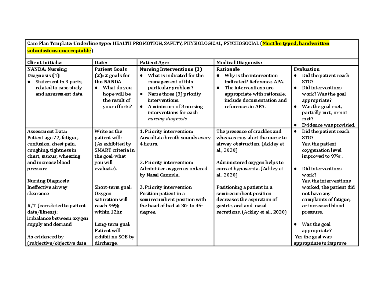 Final Care Plan Template: Nursing Diagnosis & Interventions (HEALTH 101 ...