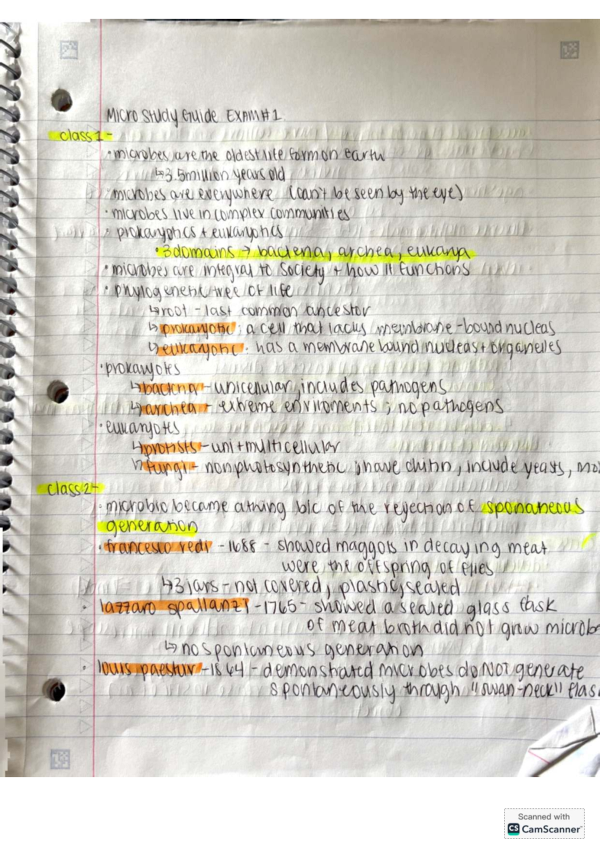 Microbiology Study Guide 1: Key Concepts and Historical Insights - Studocu