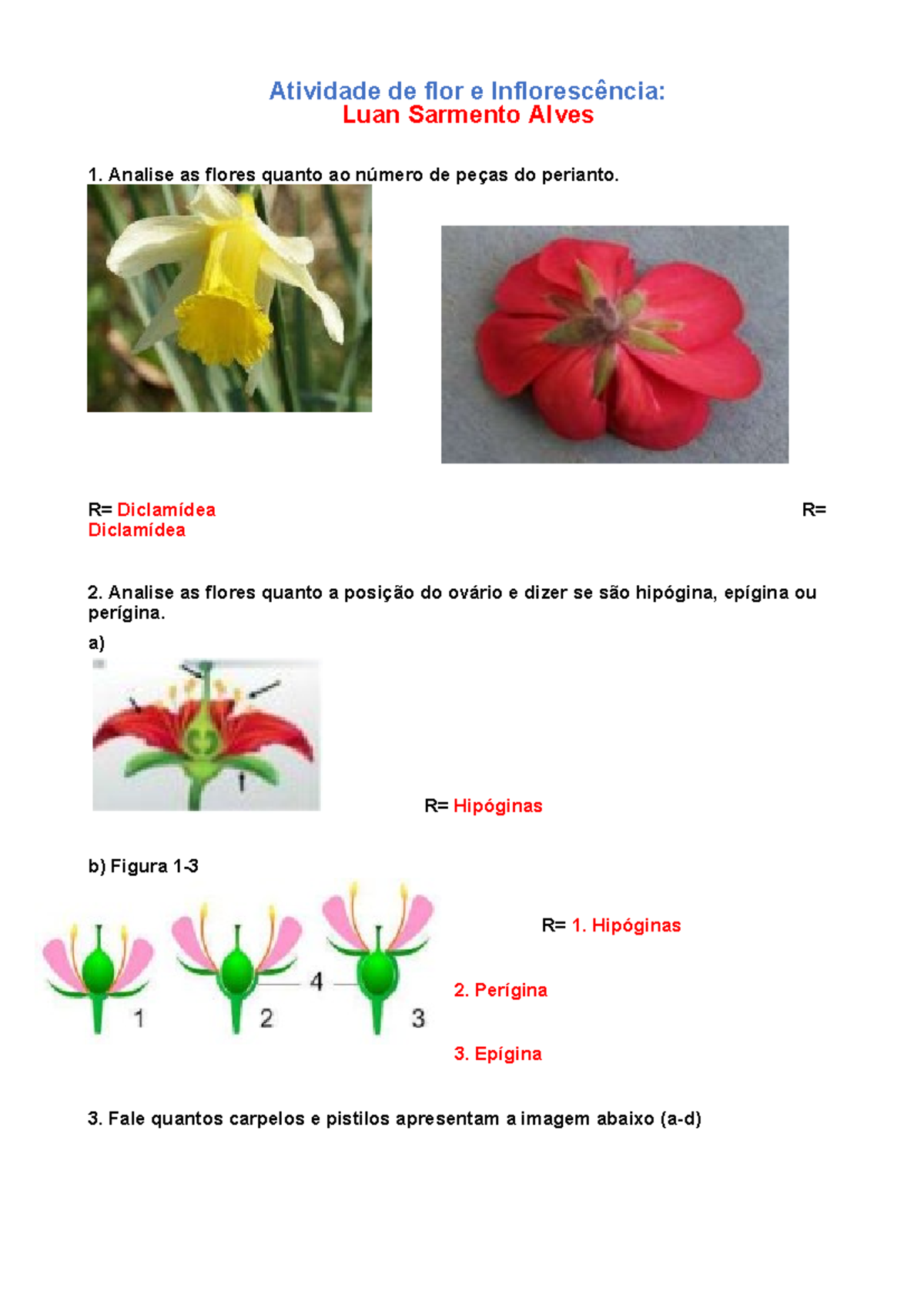 Atividade de Flor e Inflorescência - Estudo Análise Botânica - Studocu