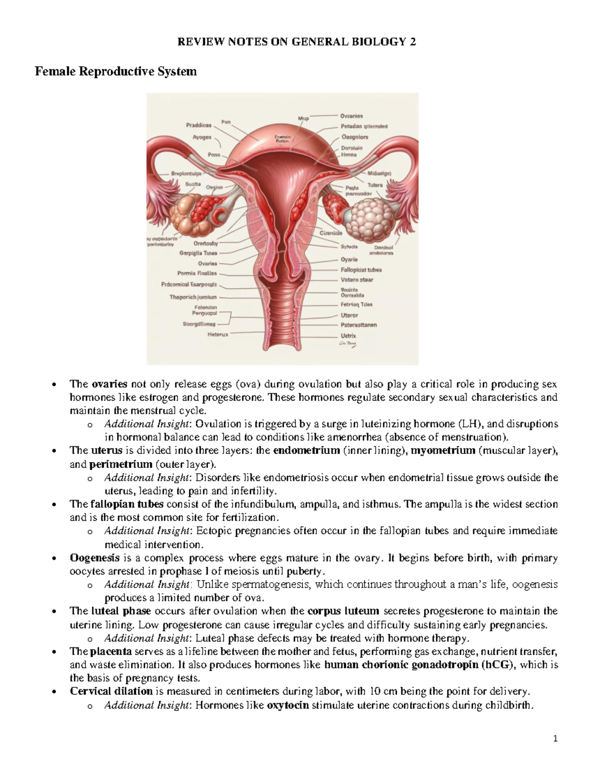 Review Notes ON General Biology 2 2024 - REVIEW NOTES ON GENERAL ...