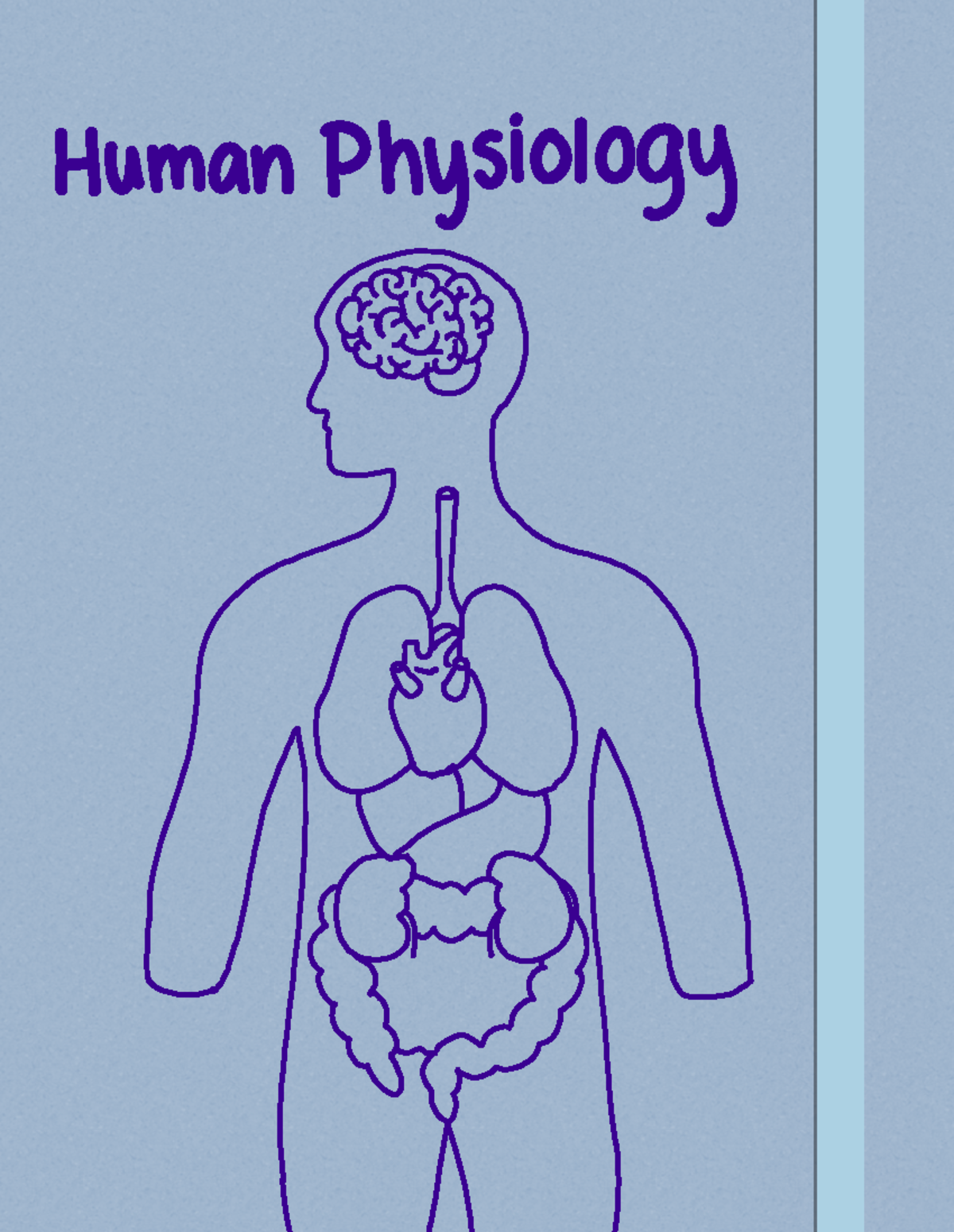 Final Exam Review Notes for BIO101: Human Physiology and Anatomy - Studocu