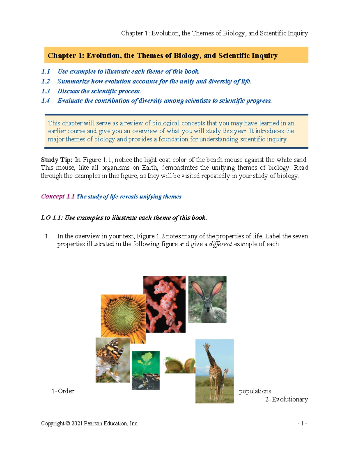5 Plant Diversity II - Lab 5 - Gymnosperms Activity 1. Pinus ...