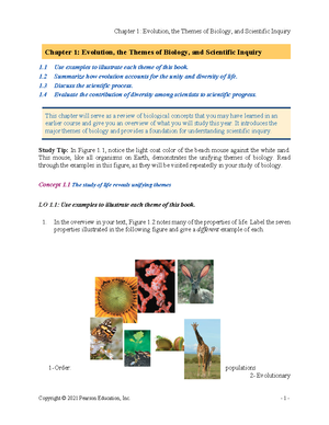 Genetics 101: Patterns of Inheritance and Mendelian Principles - Patterns of Inheritance: - Studocu