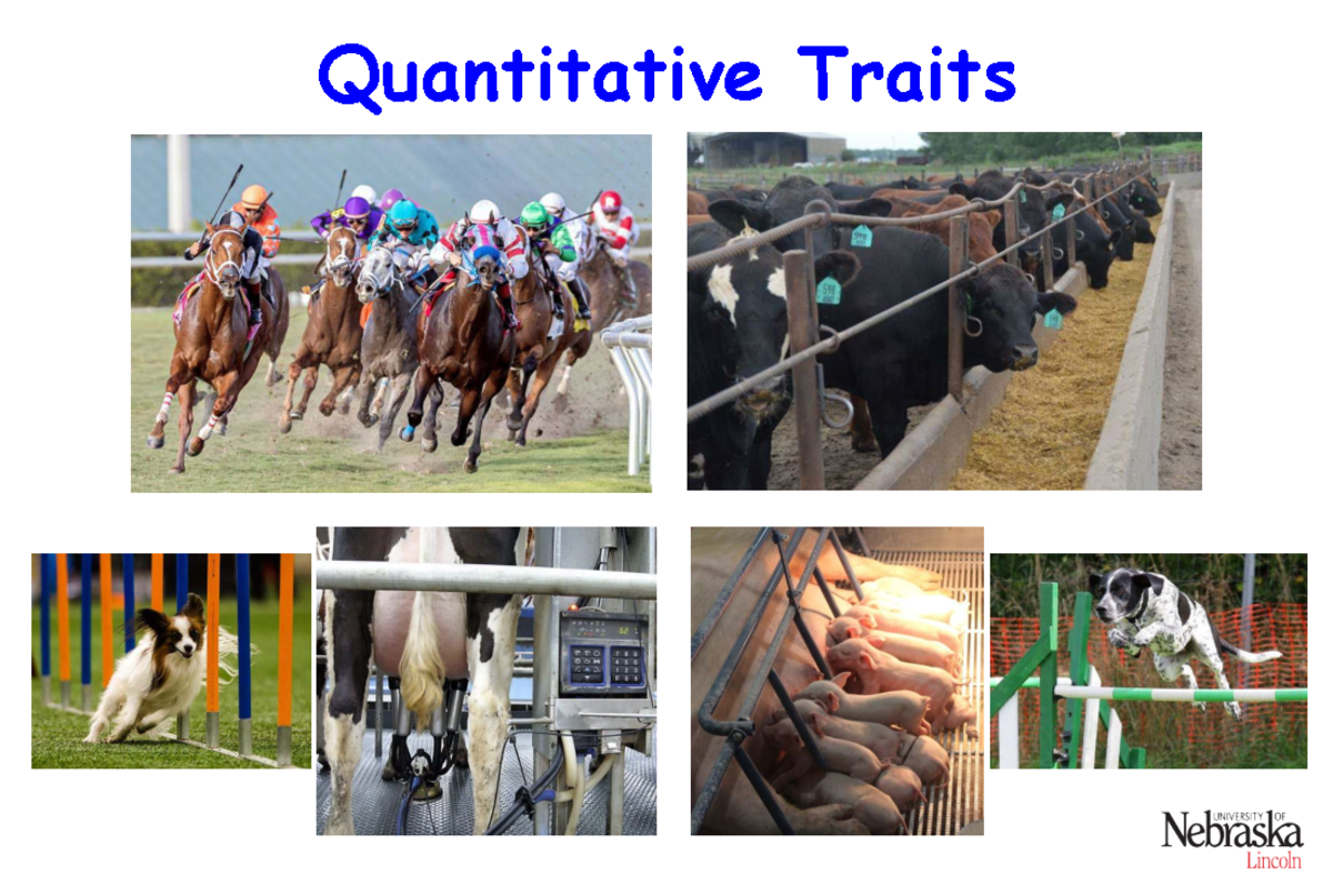 Genetic Improvement in Livestock: EPDs & Selection Methods (AGRI 101 ...