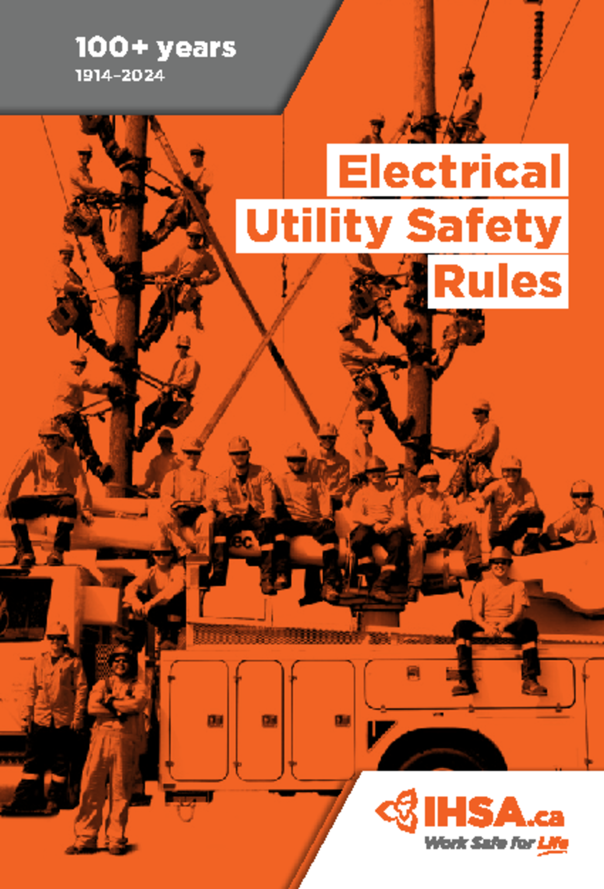 RB-ELEC - Updated Ontario Electrical Utility Safety Code 2024 - Studocu