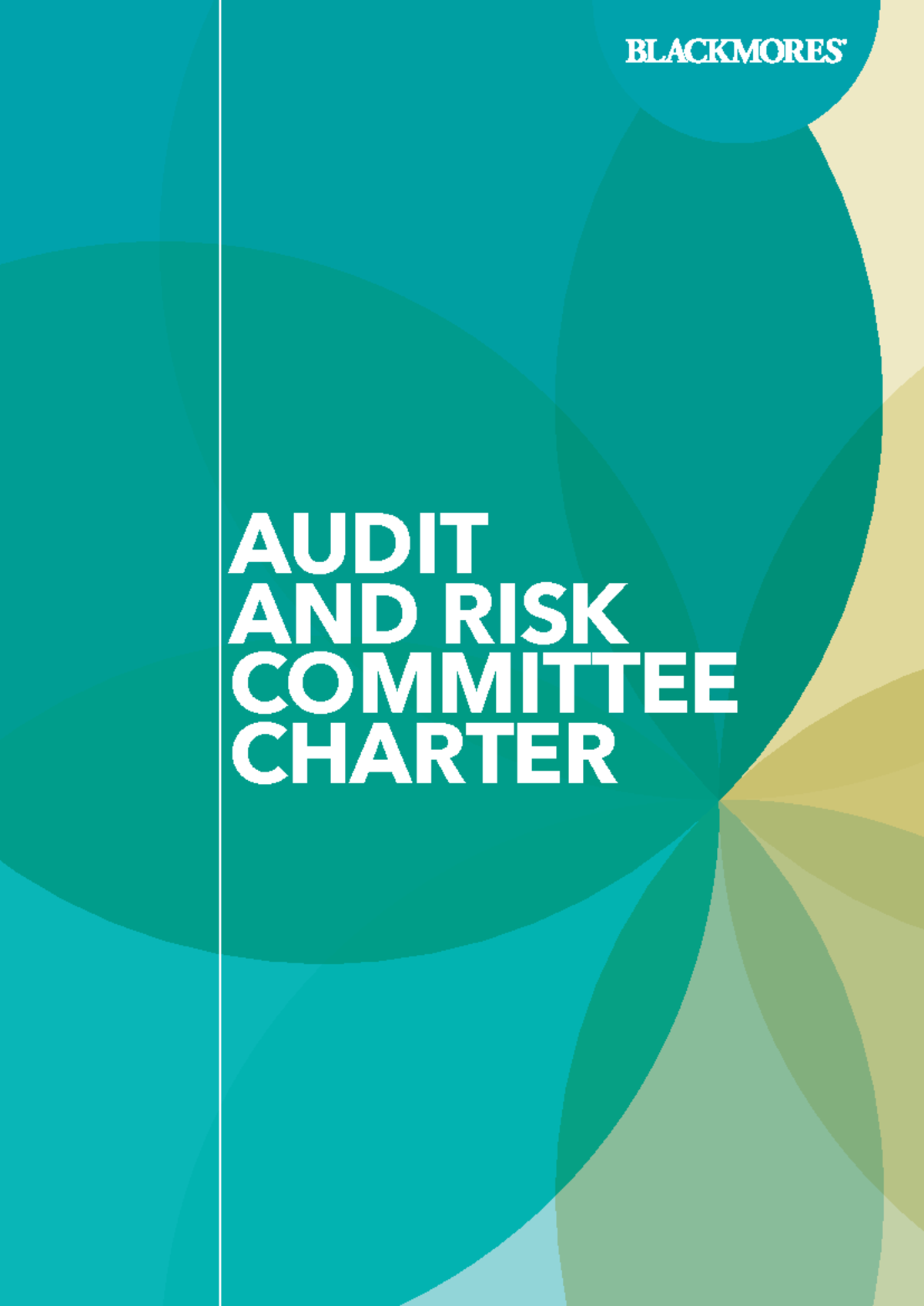 Blackmores AUDIT & RISK COMMITTEE Charter Overview and Responsibilities ...