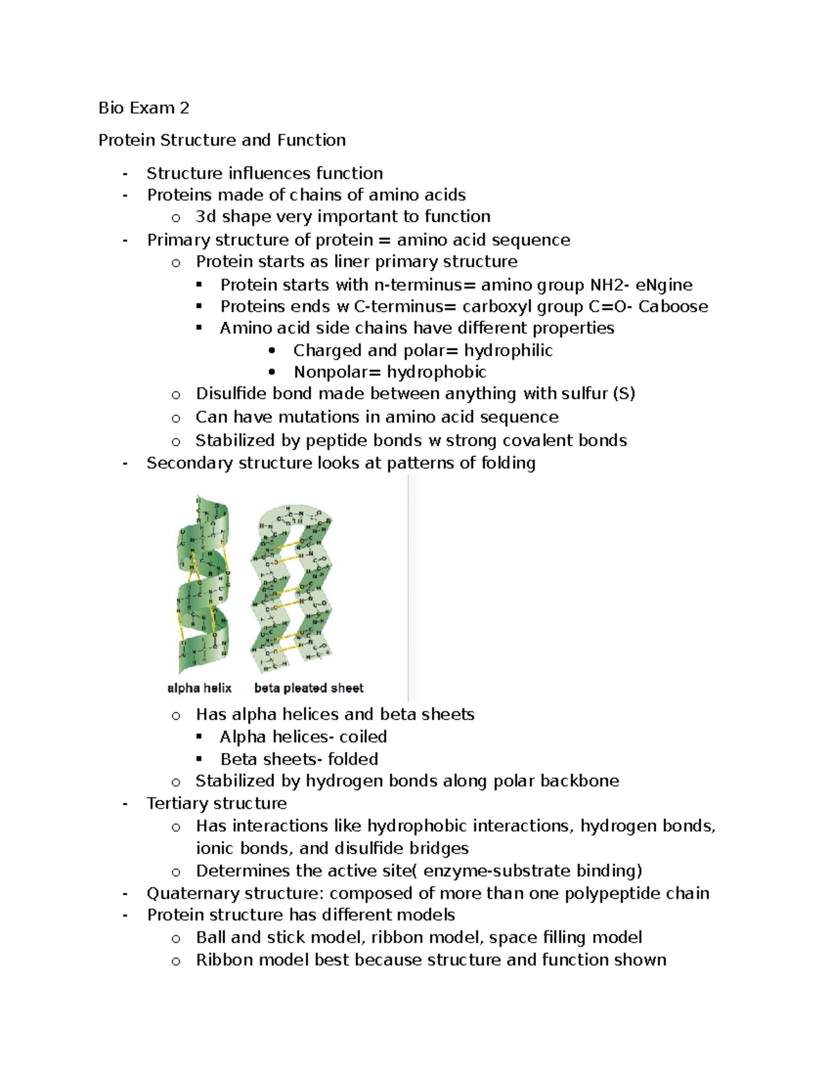 Biology 101: Exam 2 Notes on Protein Structure and Muscle Function ...