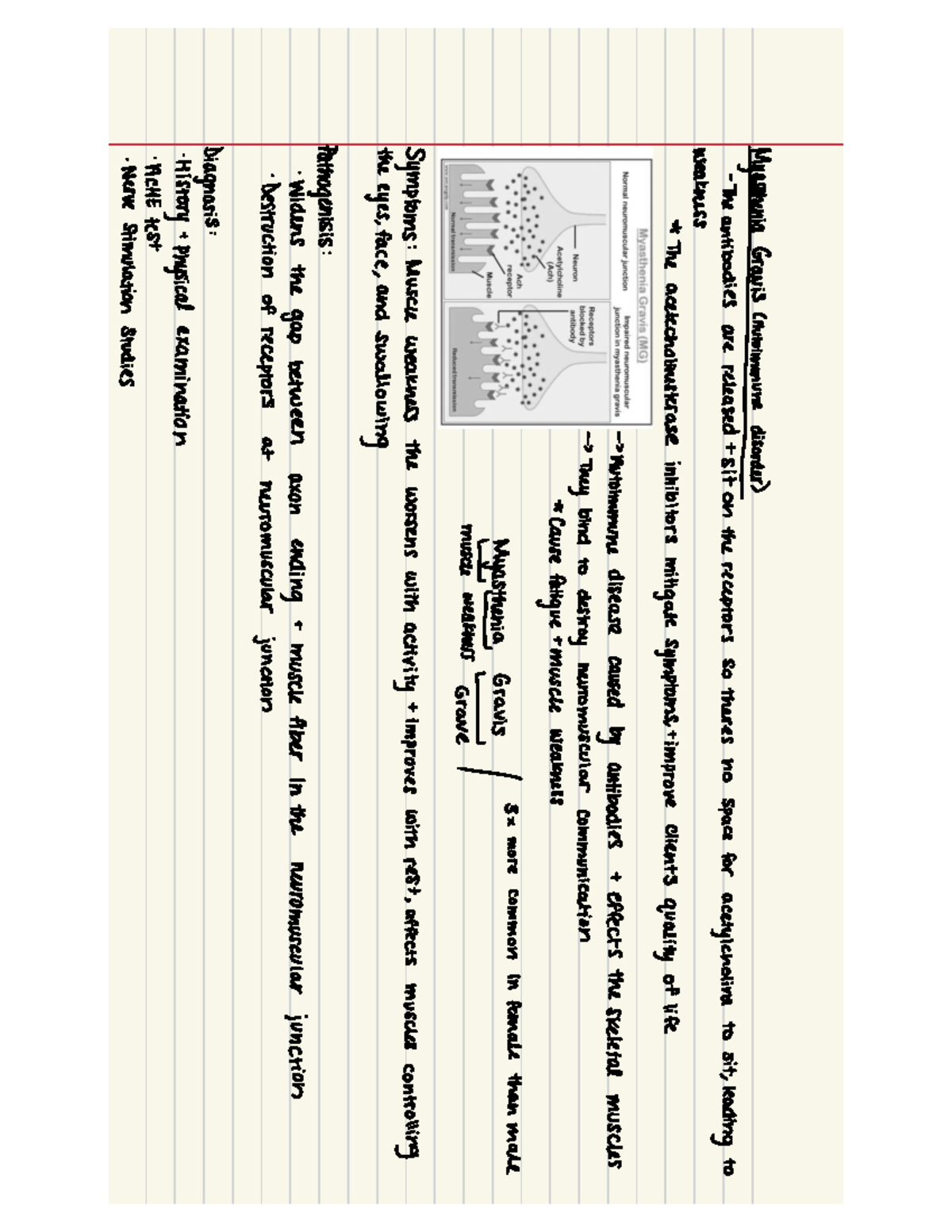 Study Guide on Neurological Conditions and Mental Health - CCA 101 - Myasthenia Gravis ...
