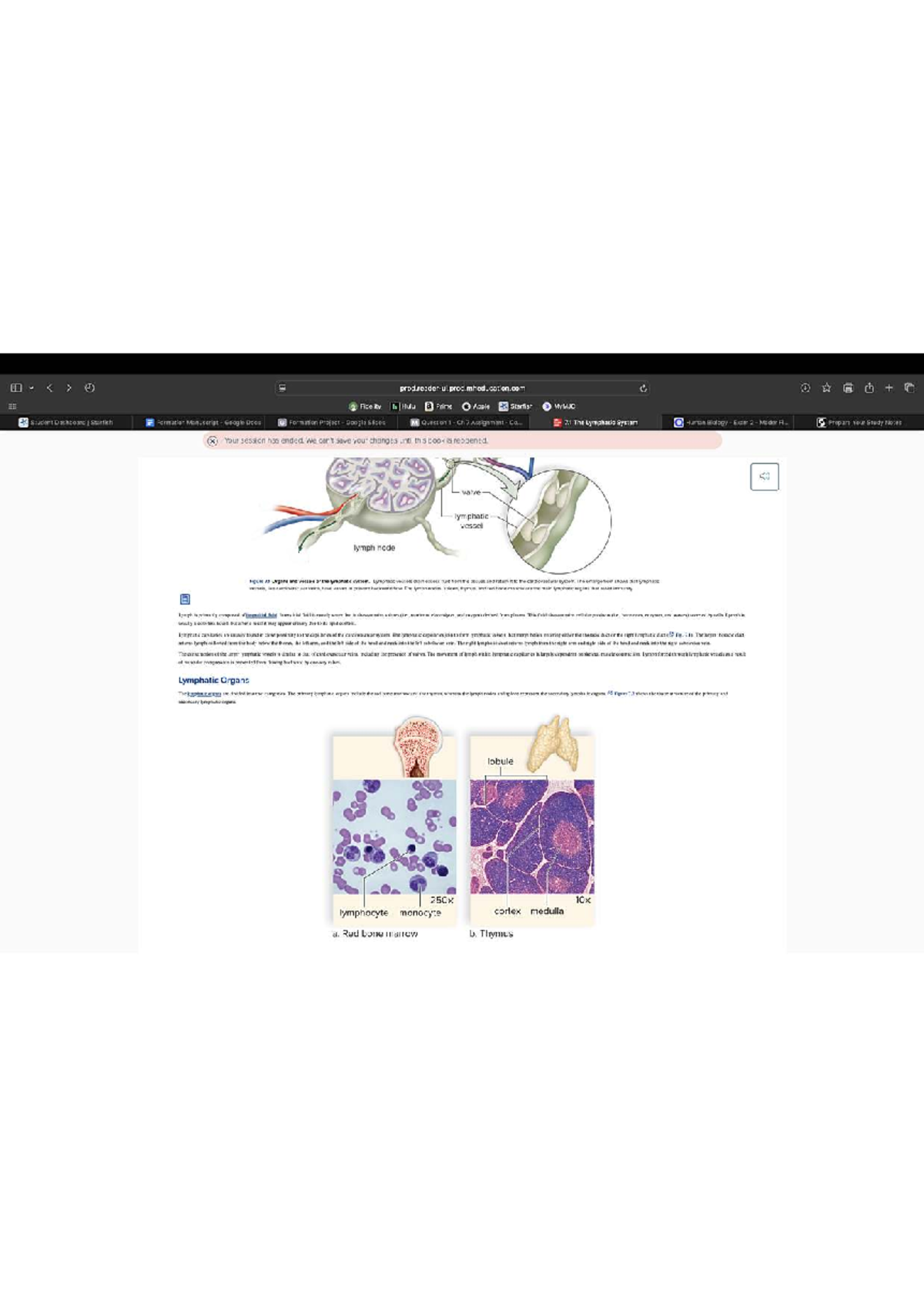 Final Exam Guide: Lymphatic System - Human Biology (Course Code - Studocu