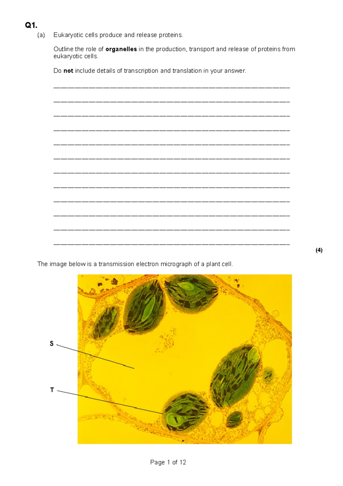 Cells and measurement calculations with ms - Q1. (a) Eukaryotic cells ...