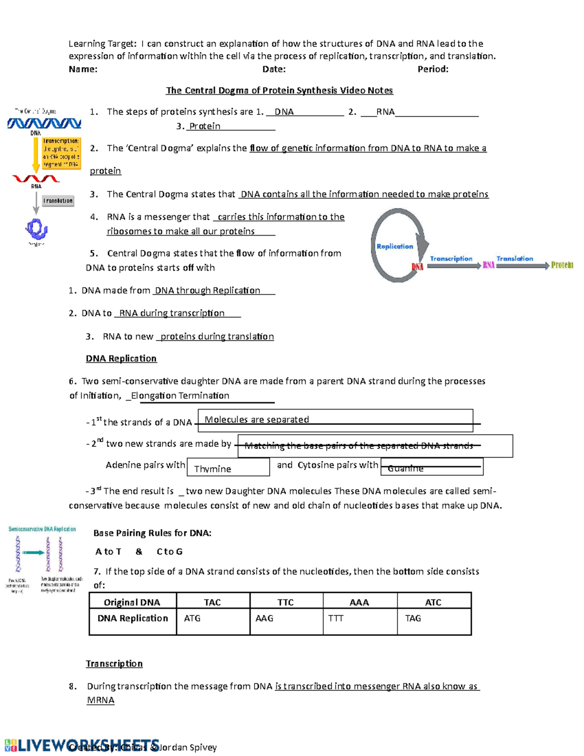 Central Dogma of Protein Synthesis Video Worksheet - Learning Target: I ...
