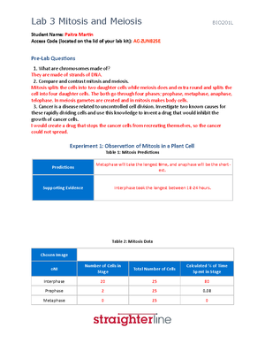 Study Guide Chapter 28 Heart - Study Guide: Chapter 28 – The Heart ...