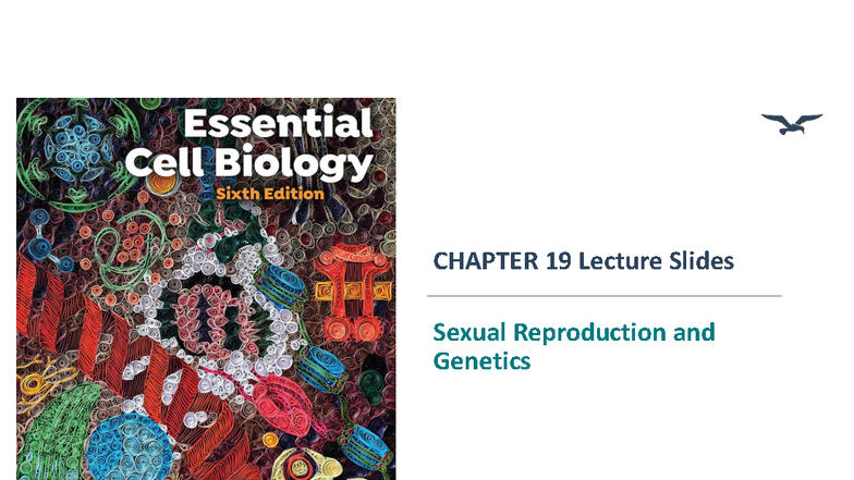 BIO2120 Chapter 19 Lecture: Meiosis, Genetics & Human Inheritance - Studocu