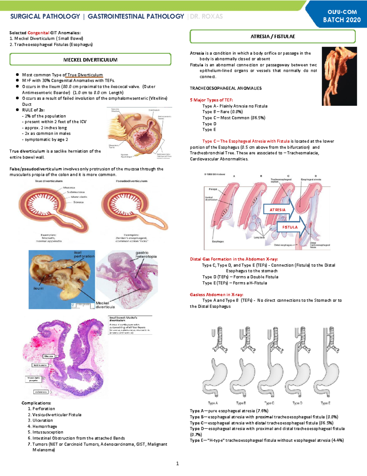 5.3 GIT-Pathology - git notes on pathology - SURGICAL PATHOLOGY ...