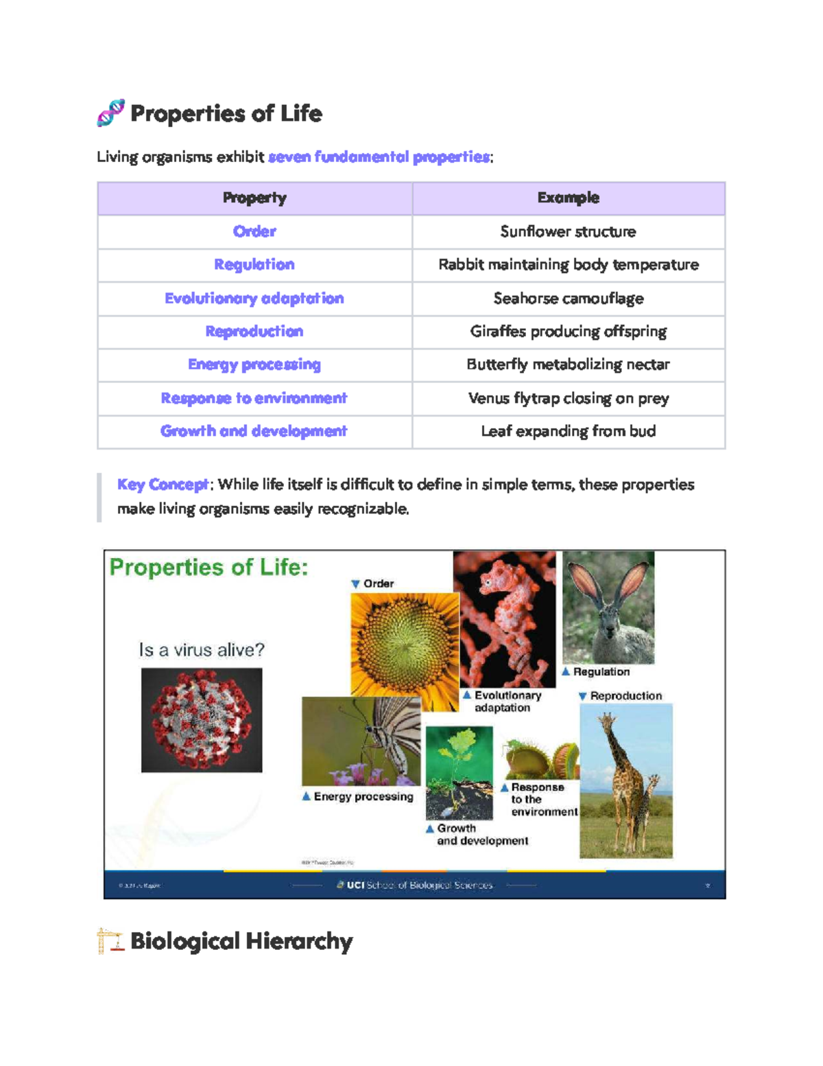 Biology 101: Lecture 1 - Properties of Life and Biological Hierarchy ...