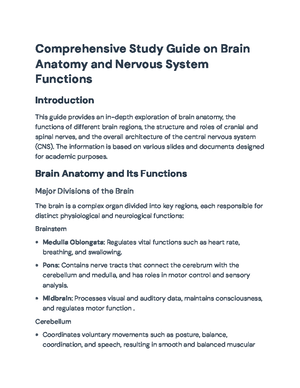 Nervous System Analysis: Structure, Function & Signal Transmission ...