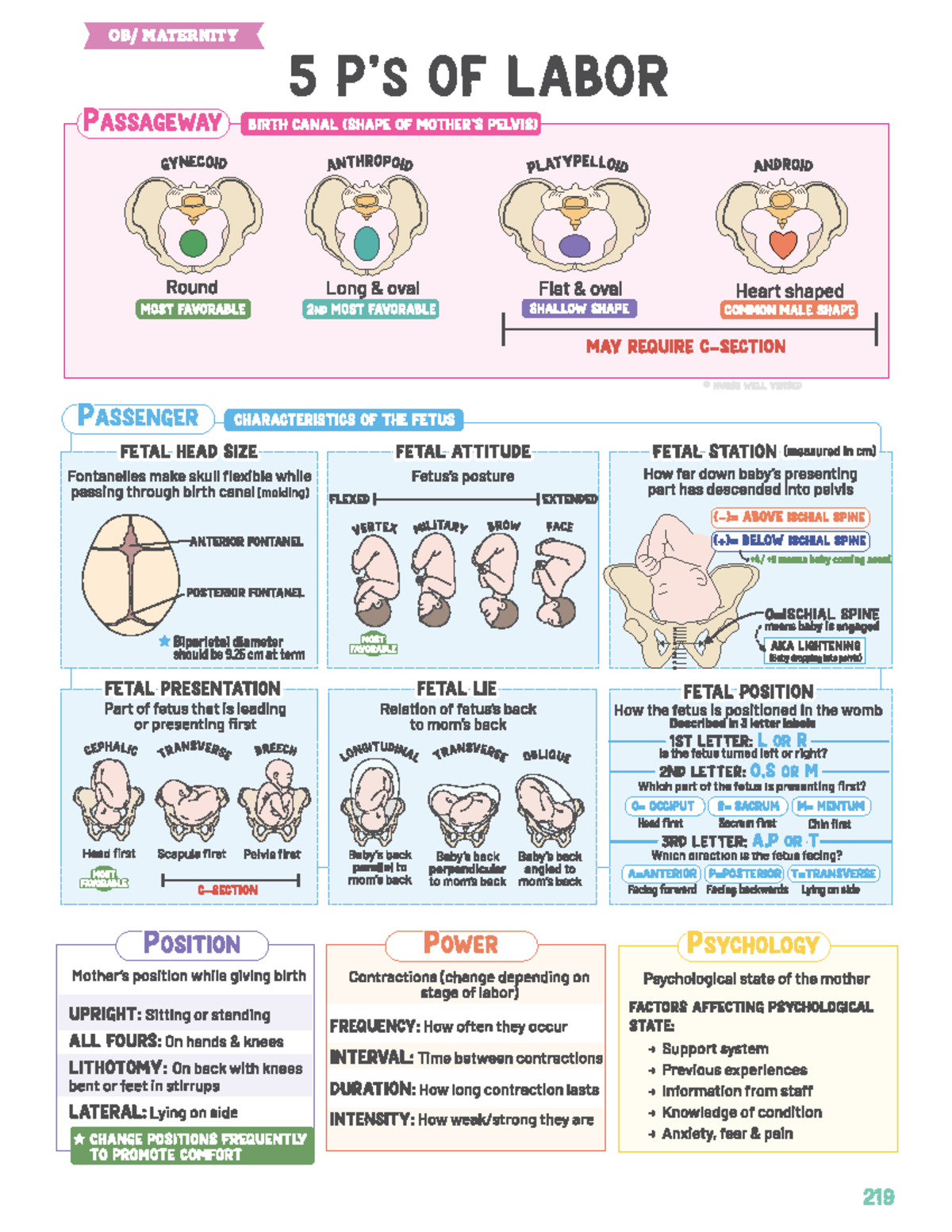 5 Ps of Labor: Passageway, Power, Presentation, Position, Psychology ...
